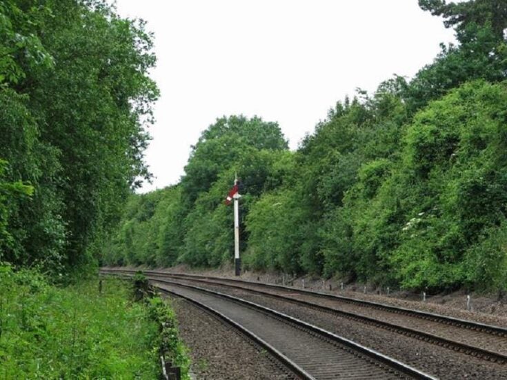 UK Government launches review of Network Rail tree management