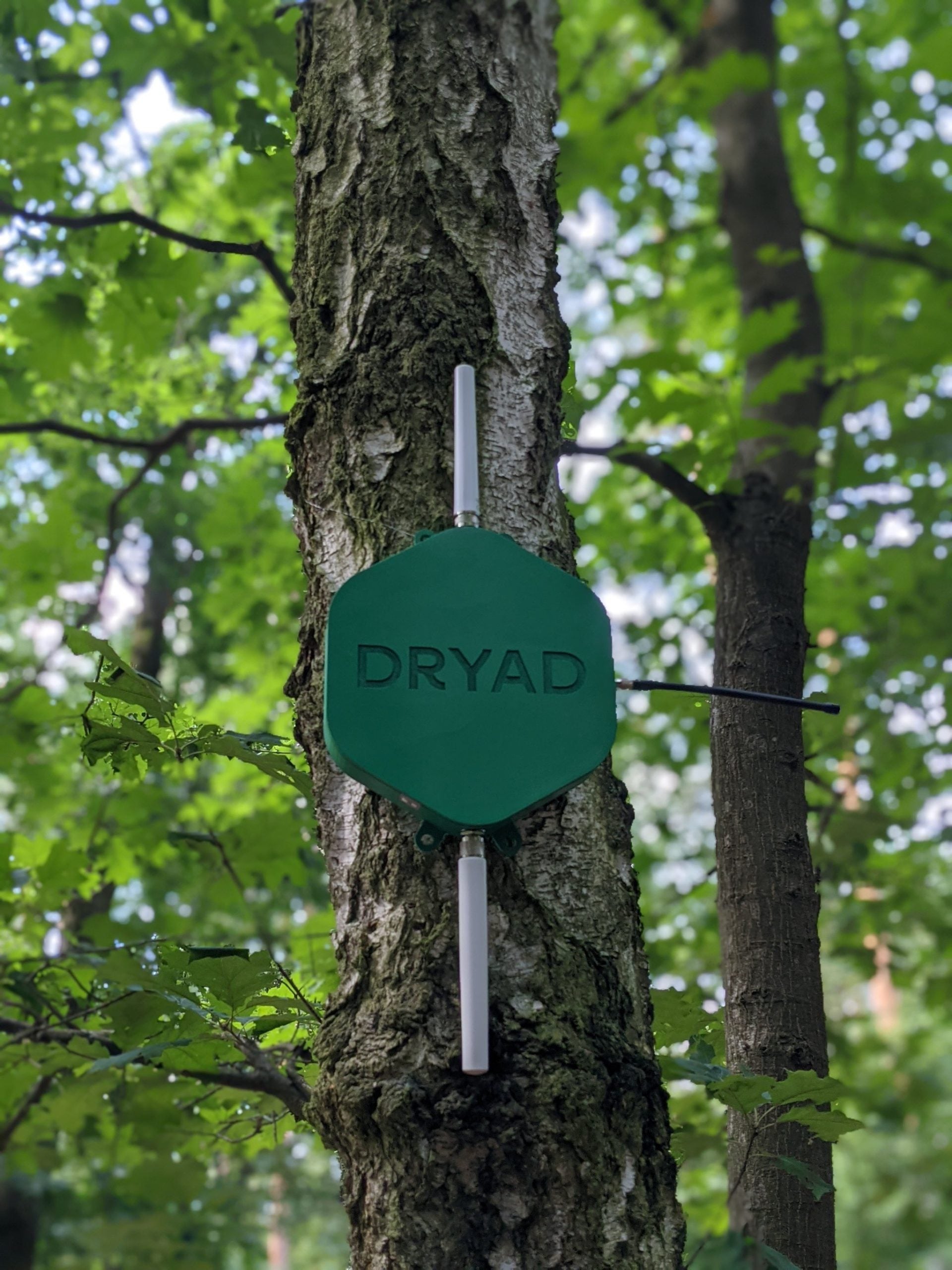 Resilient rail: safeguarding for wildfires in a changing climate ...